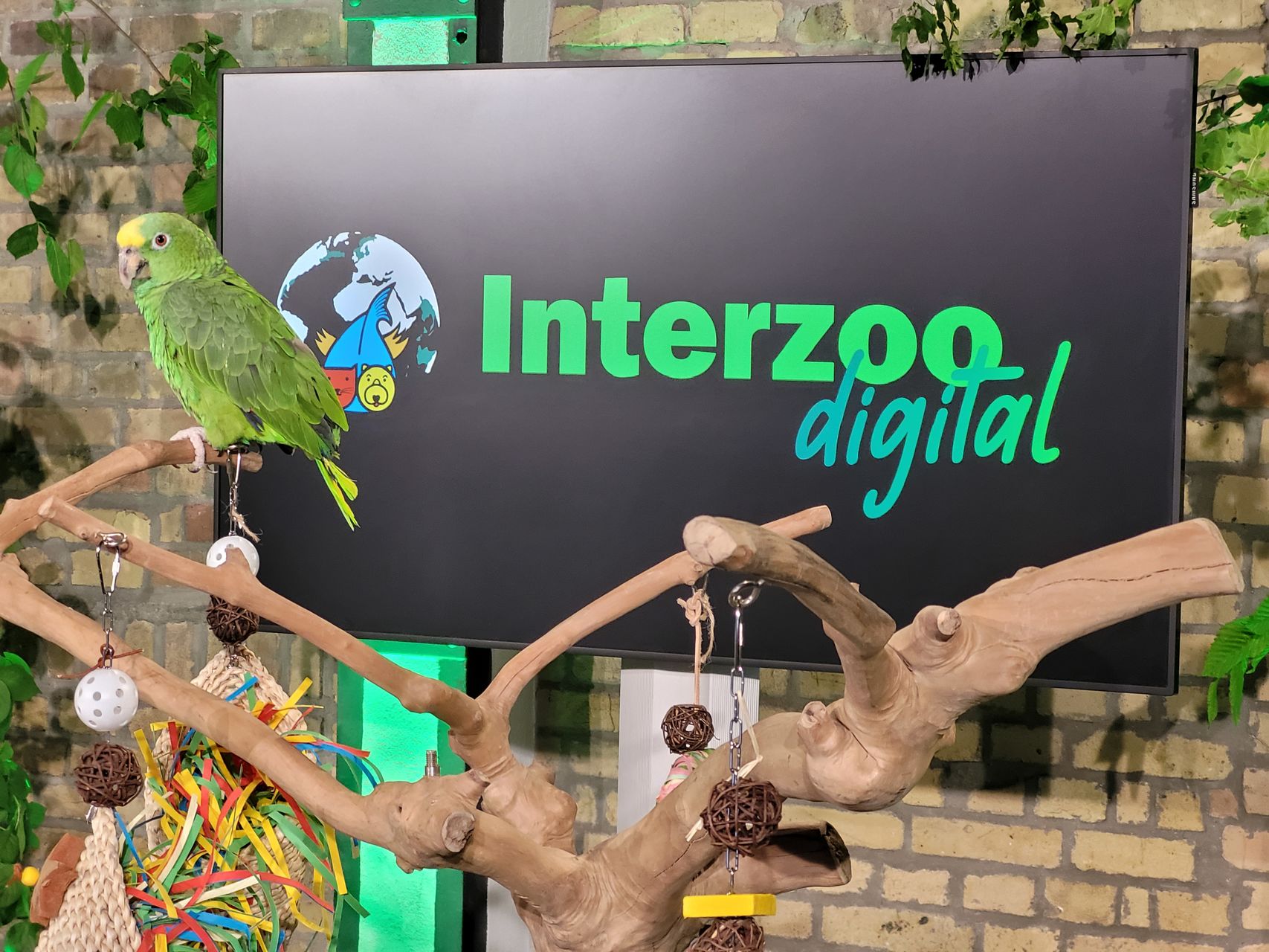 Interzoo Newsroom | Interzoo