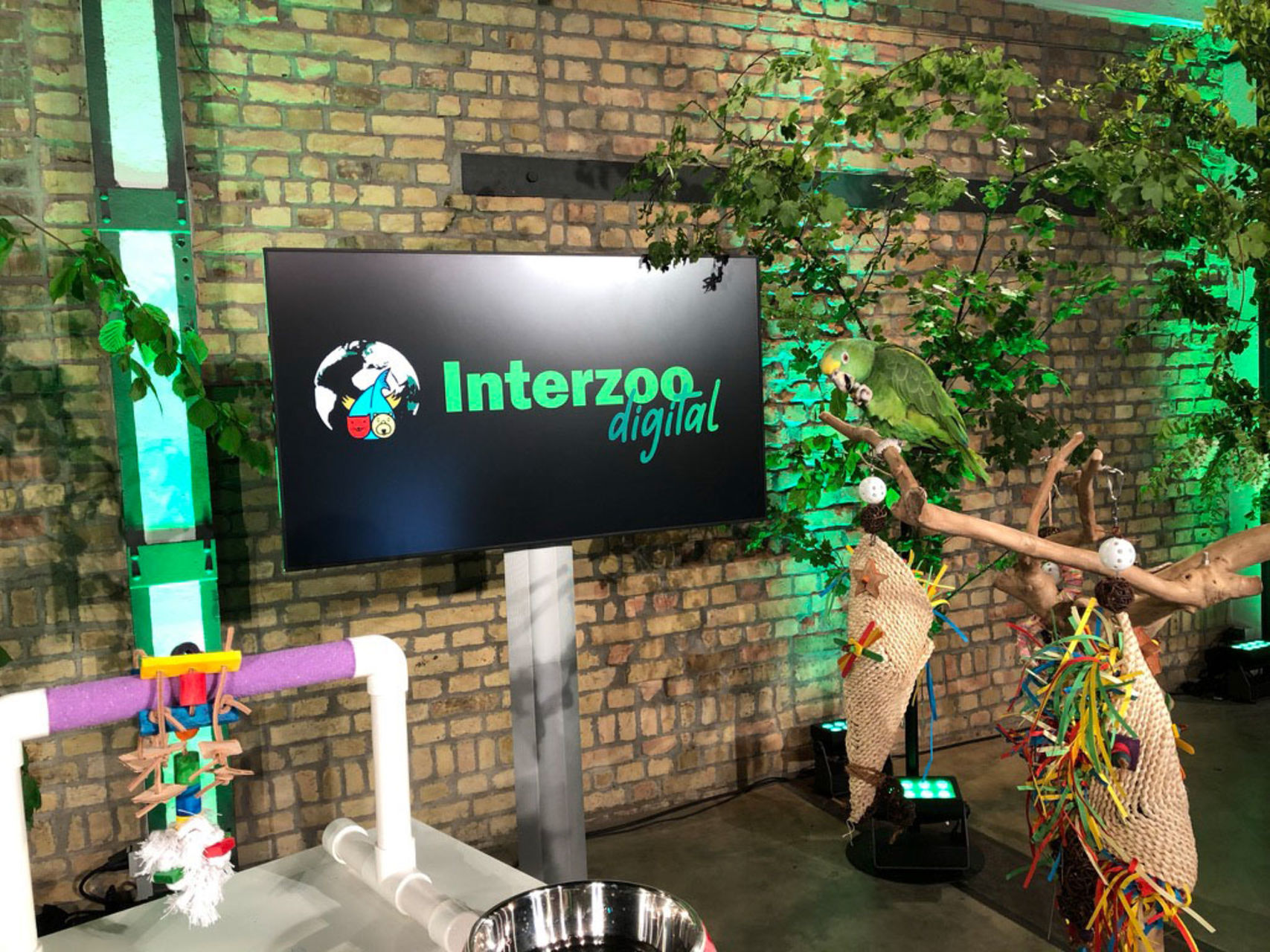 Interzoo Newsroom | Interzoo